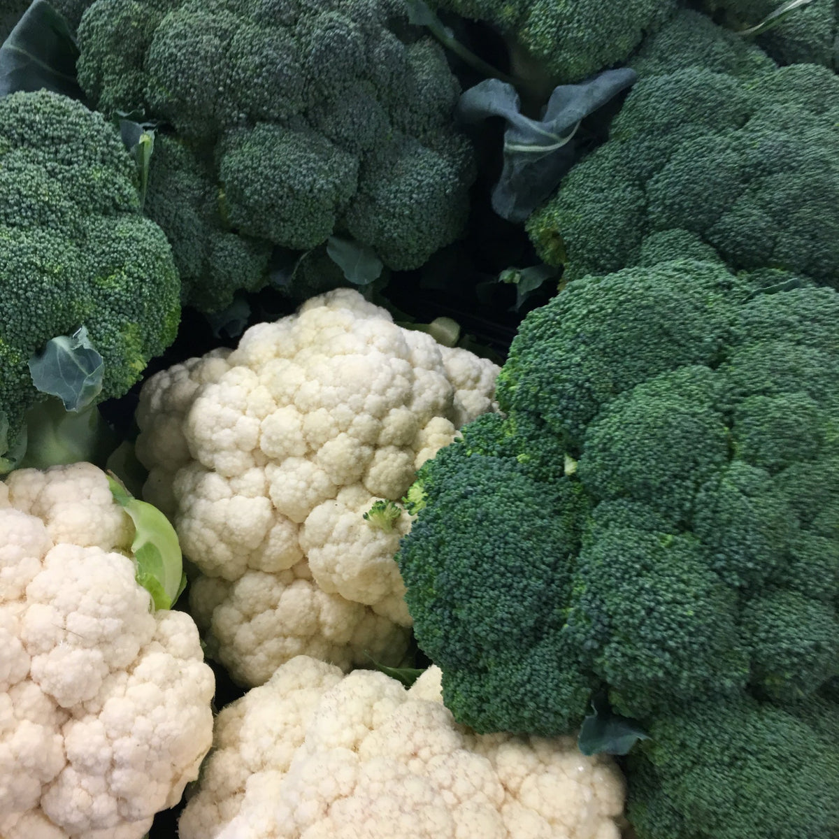 Produce – Miller Plant Farm