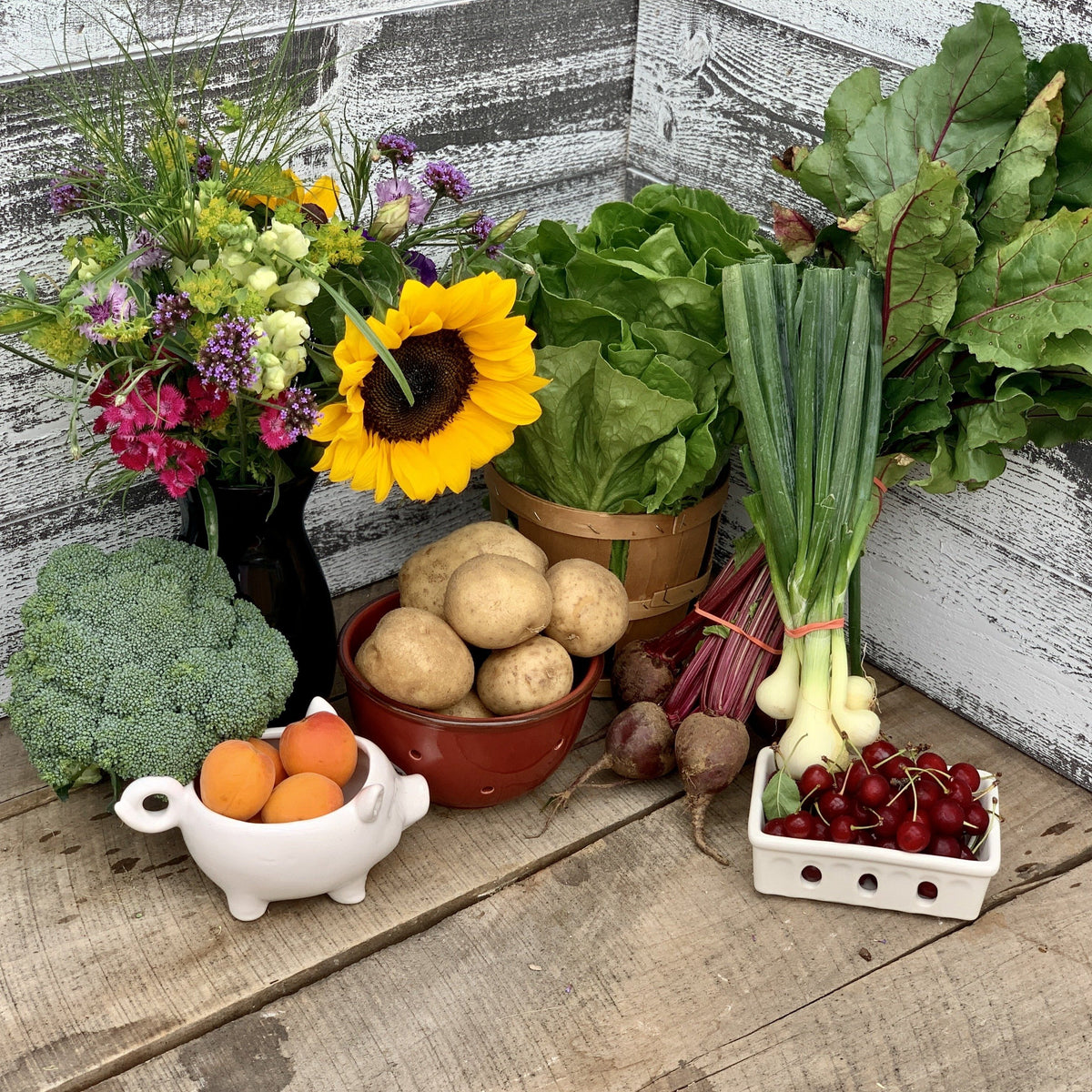 Community Supported Agriculture (CSA) – Miller Plant Farm